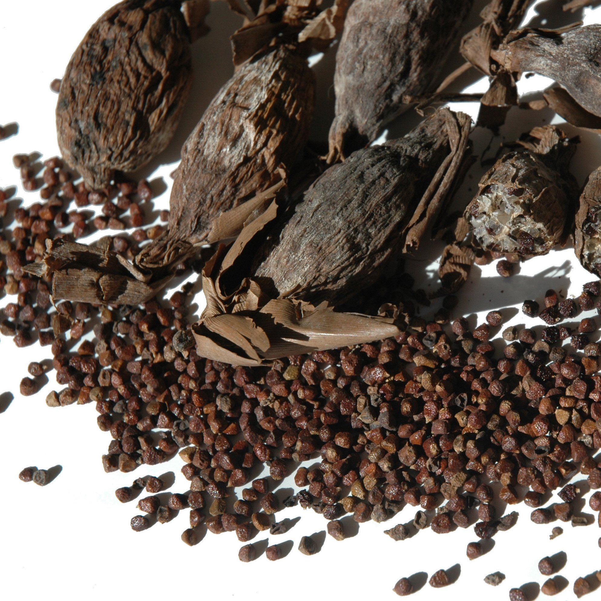 ALIGATOR PEPER – Ezenwaafricanfood